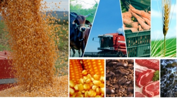 Produtos Agrícolas: como usar a tecnologia para aumentar a produtividade